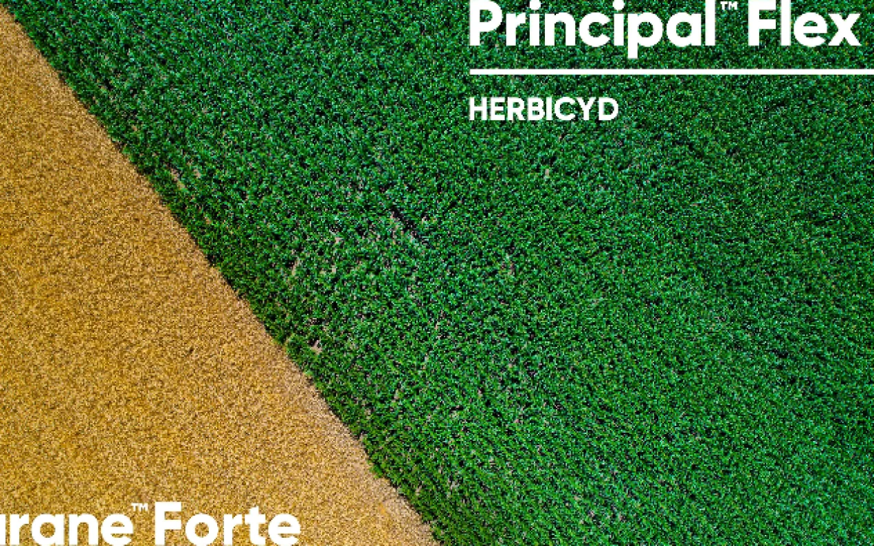 Sezon 2023 - nowe herbicydy od Corteva Agriscience